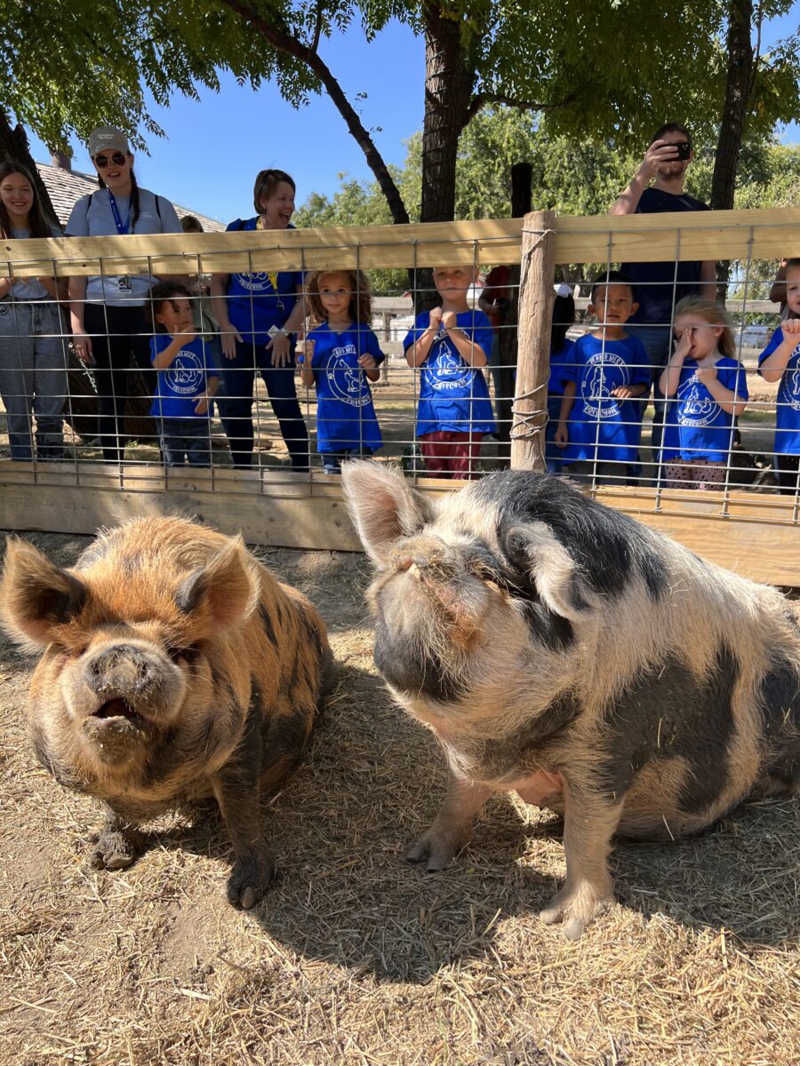 Heritage Farmstead Historical Working Farm in Plano, TX