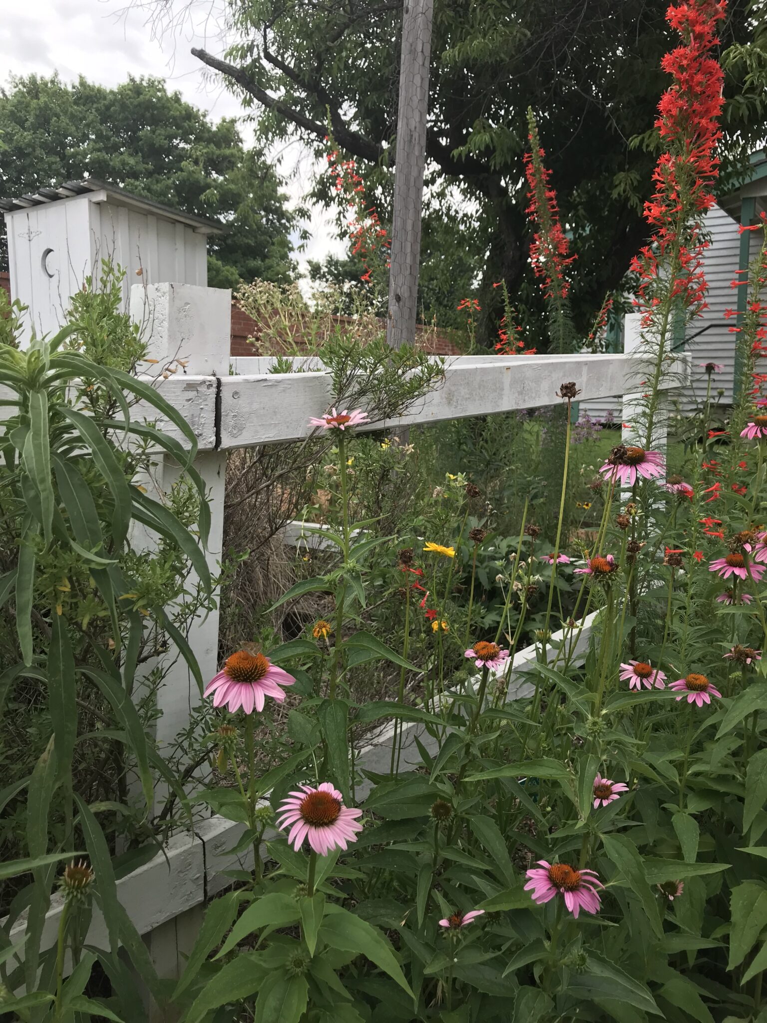 Upcoming Events – Heritage Farmstead Museum