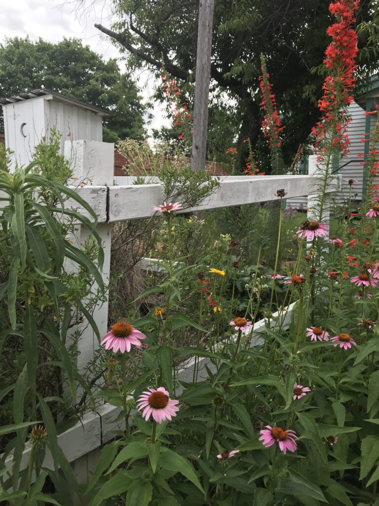 Upcoming Events – Heritage Farmstead Museum